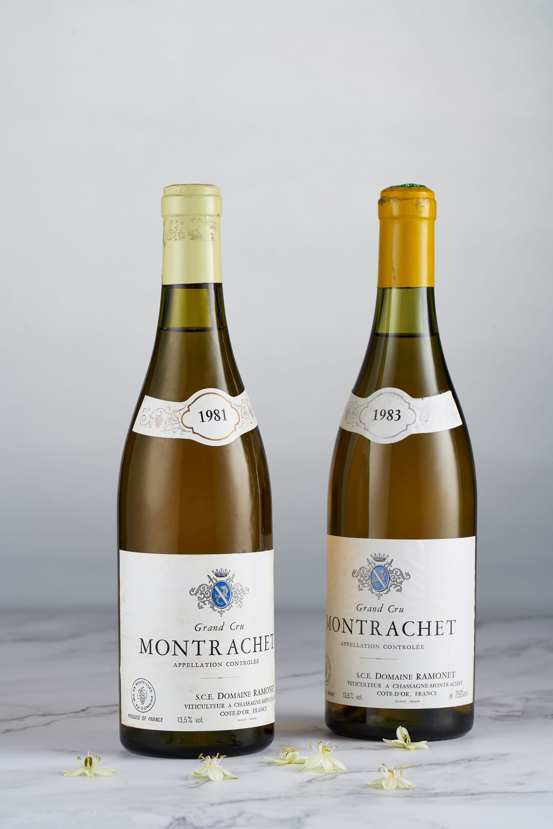 Bonhams : Montrachet 1981, Domaine Ramonet (1)