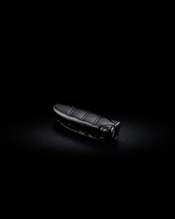 Bonhams : A BLACK STONE CICADA Neolithic Period, Hongshan Culture